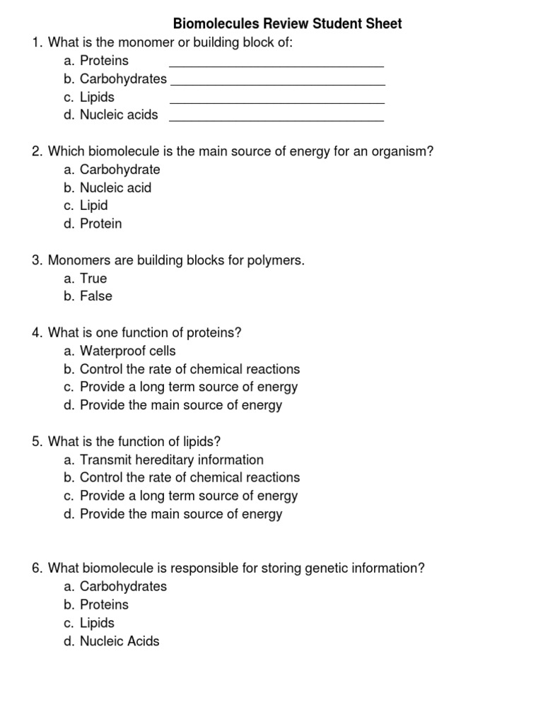Biomolecules Review Student Sheet | PDF