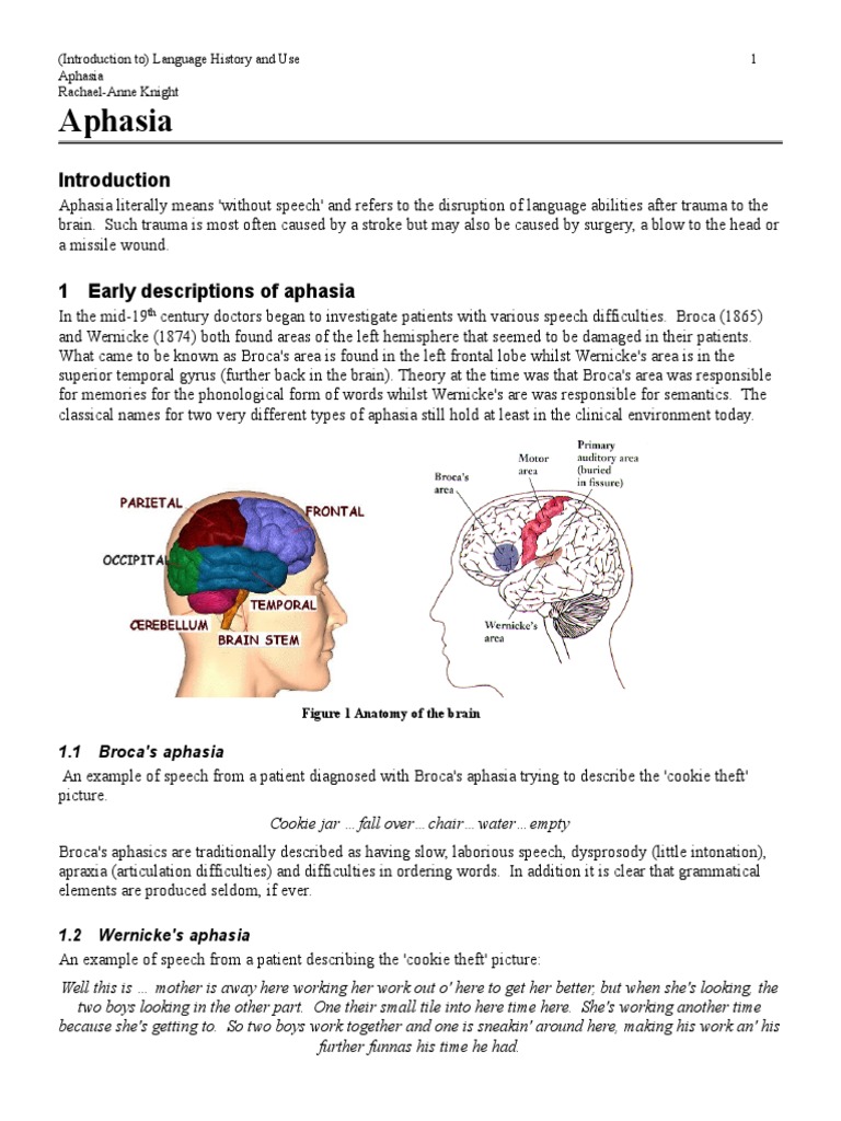 Aphasia: (Introduction To) Language History and Use 1 Aphasia Rachael ...