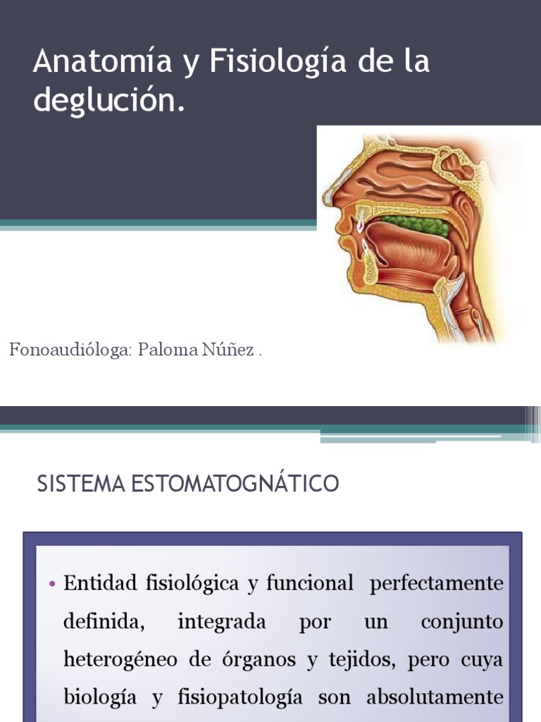 Anatomia y Fisiologia de La Deglucion c.1 | Esófago | Anatomia animal