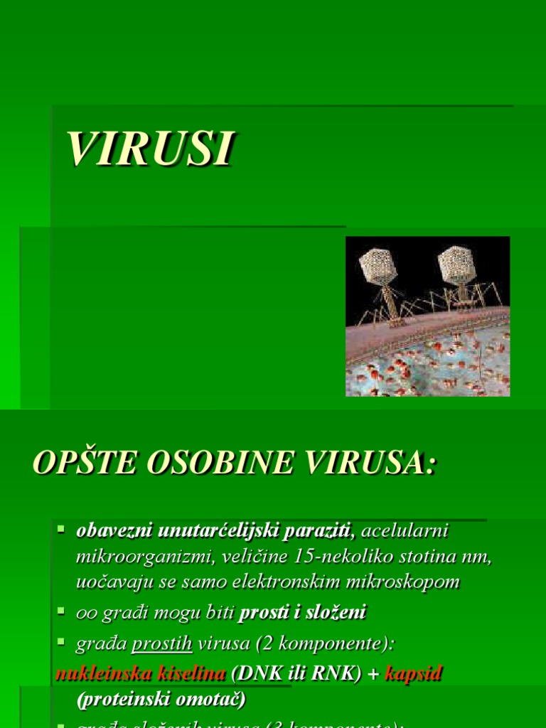 VIRUSI | PDF