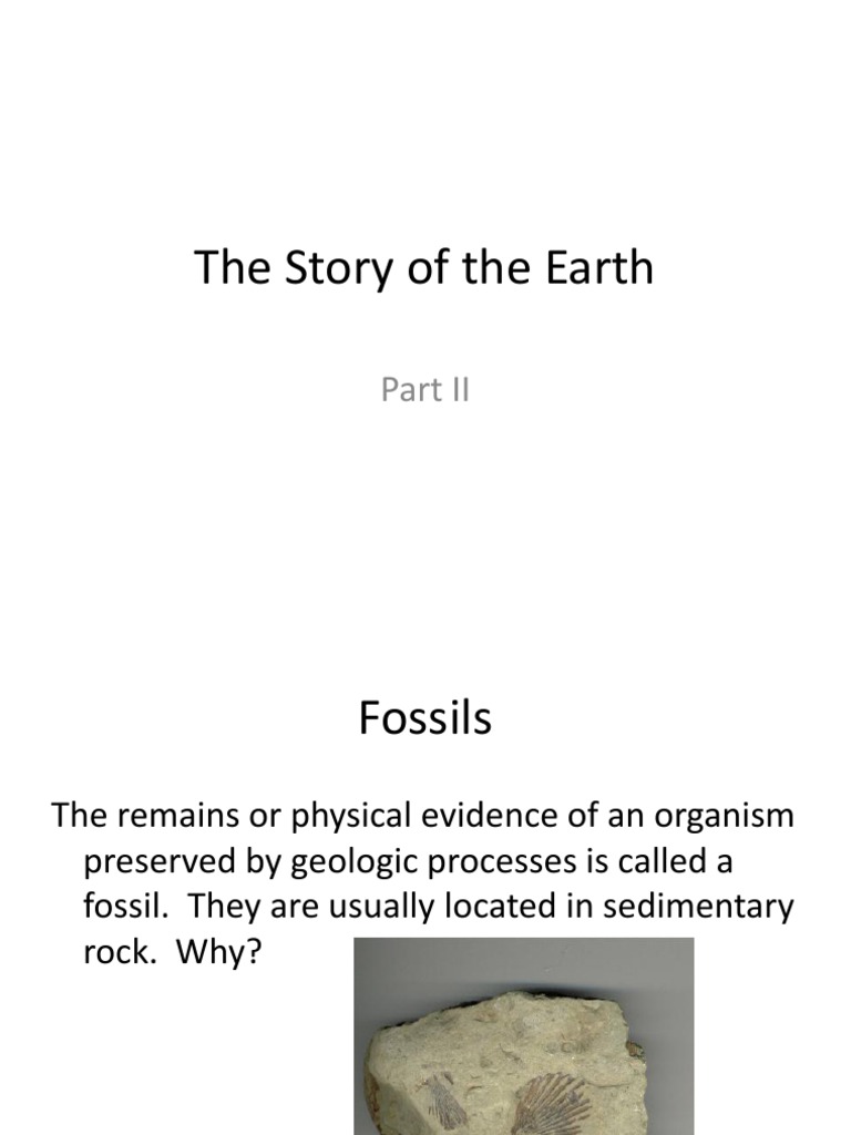 Understanding Fossils and Geologic Time | PDF | Fossil | Geologic Time ...