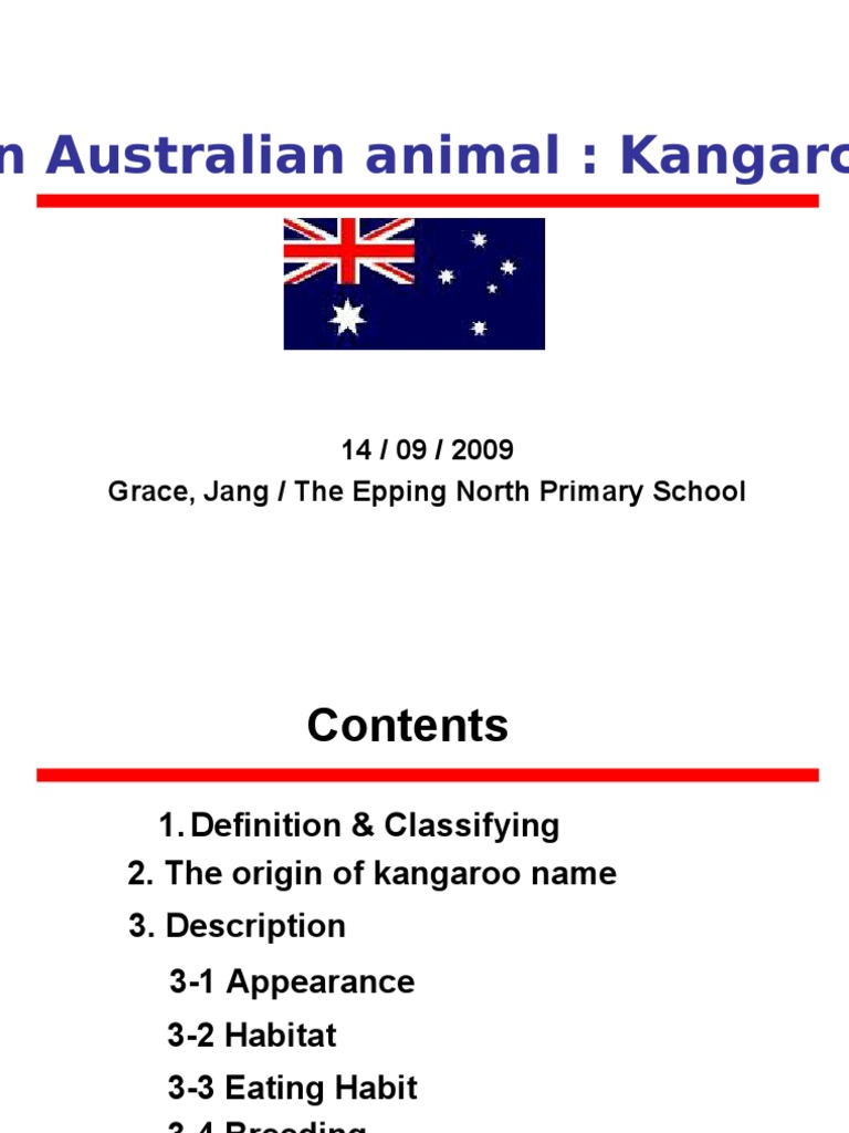 Kangaroo: Australia's Iconic Marsupial | PDF | Home & Garden