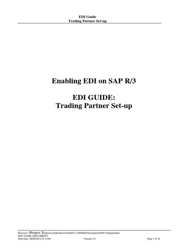 Edi Partner Setup Guide | PDF | Electronic Data Interchange | Invoice