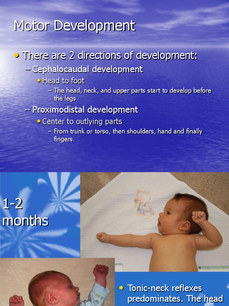 Infant Motor Development Stages | PDF | Career & Growth | Self-Improvement