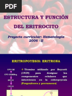 CODOCITOS | PDF | Glóbulo rojo | Sangre