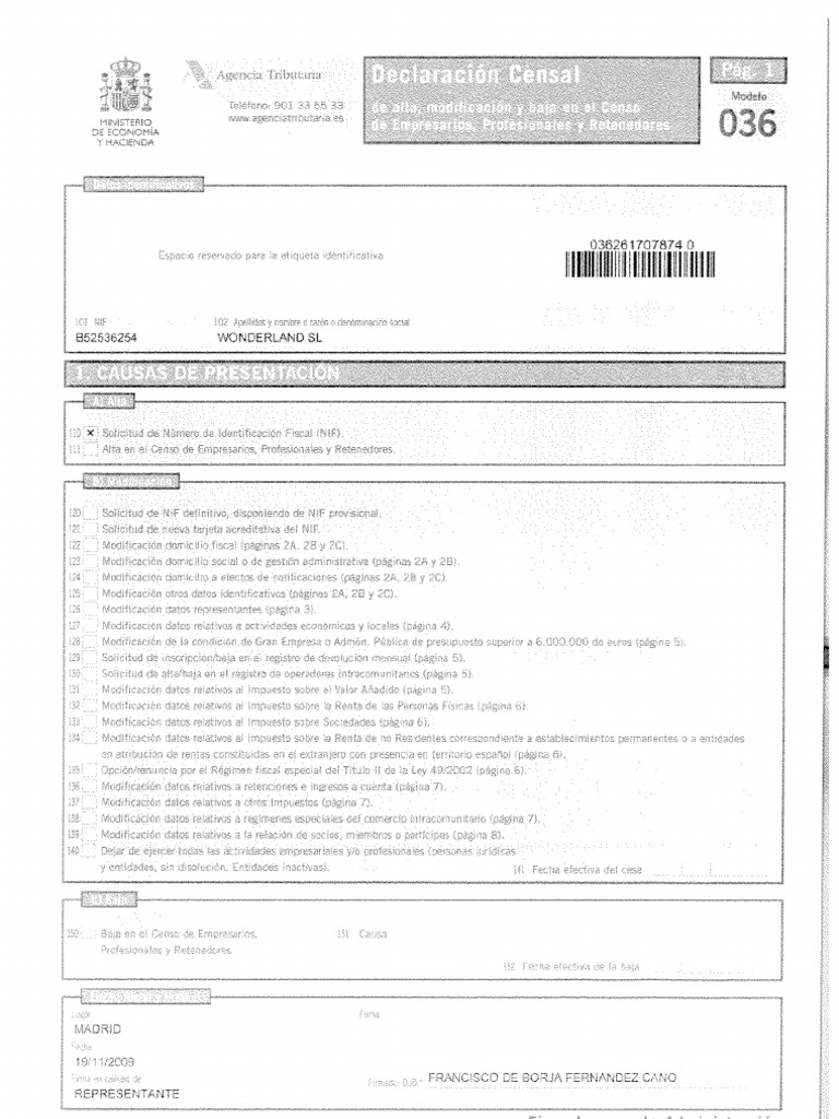 Modelo 036: Solicitud NIF y CIF | PDF | Negocios | Tecnología