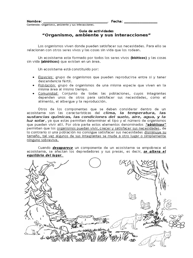 Guia Resumen Organismo Ambiente y Sus Interacciones | PDF | Ecosistema ...