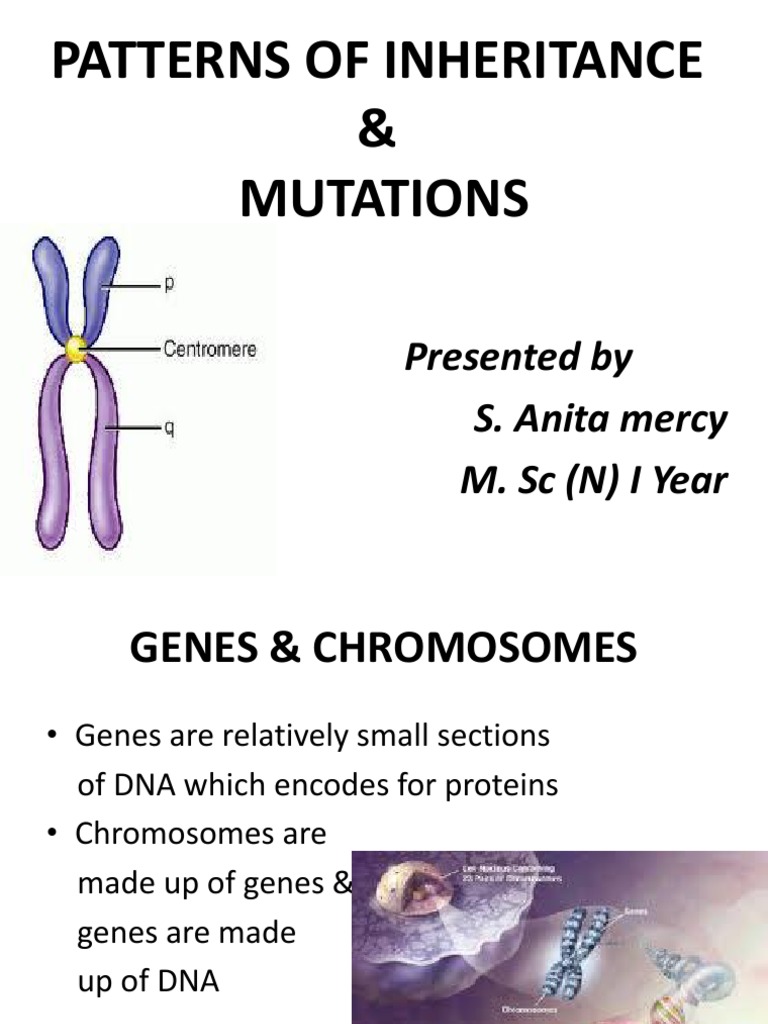 Patterns of Inheritance & Mutations: Presented by S. Anita Mercy M. SC ...