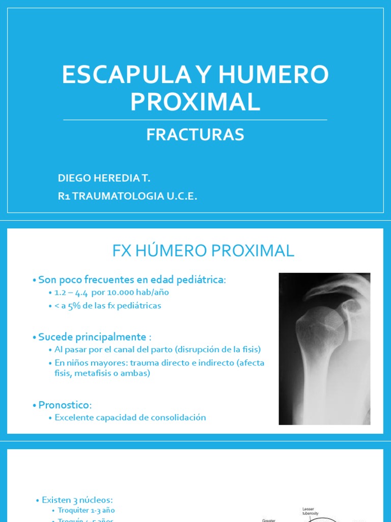 Escapula y Humero Proximal | PDF | Hombro | Sistema musculoesquelético