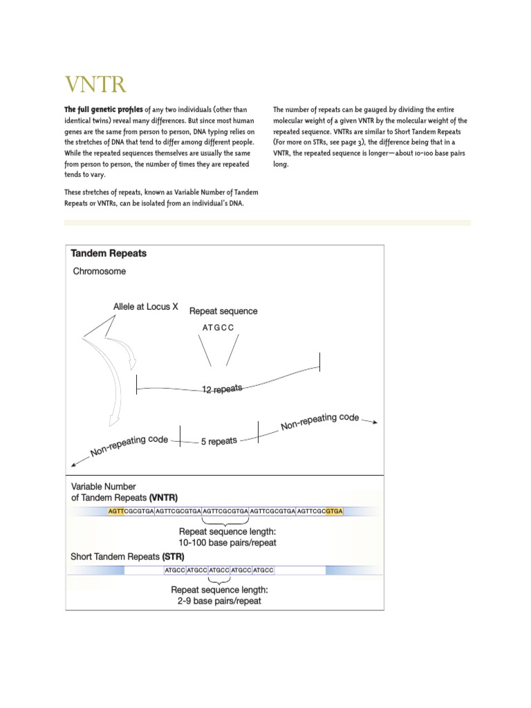 Crocodile Research | PDF | Foreign Language Studies