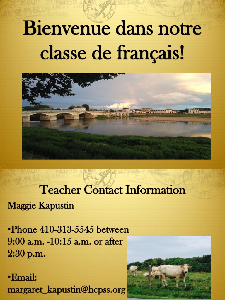 French 1 Class Overview & Resources | PDF