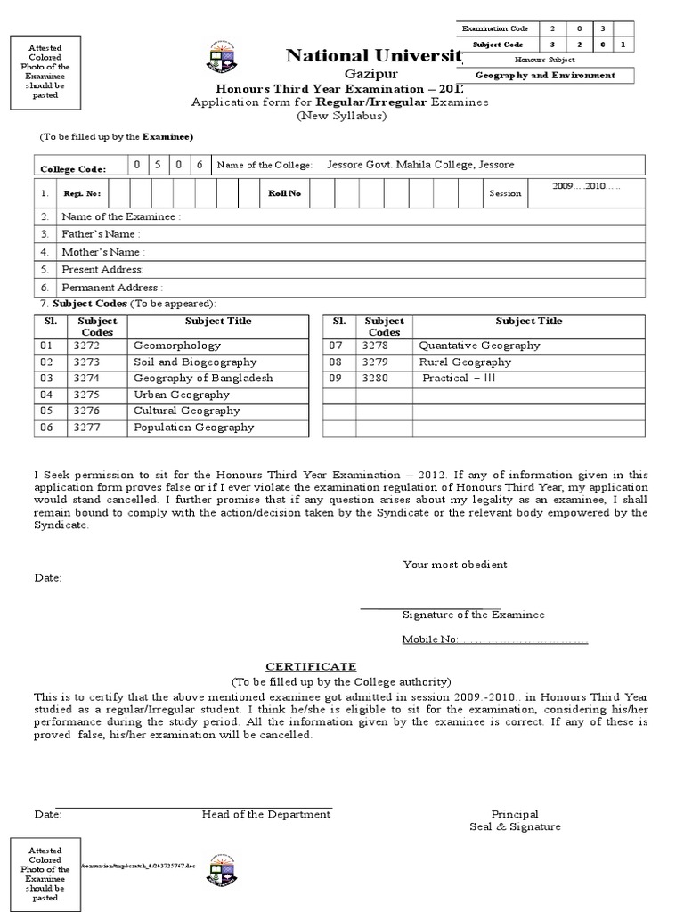 Application Form 2011 P3 | PDF