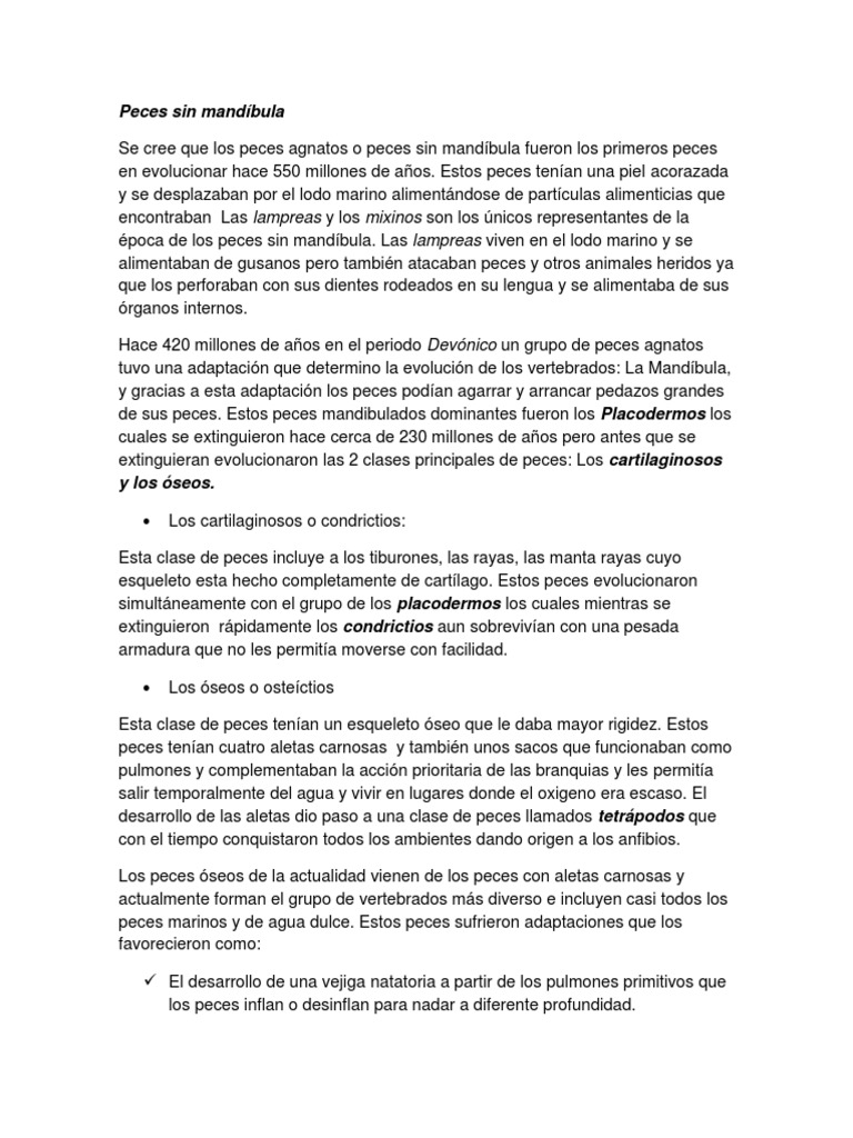 Peces Sin Mandíbula | Descargar gratis PDF | Pescado | Vertebrados