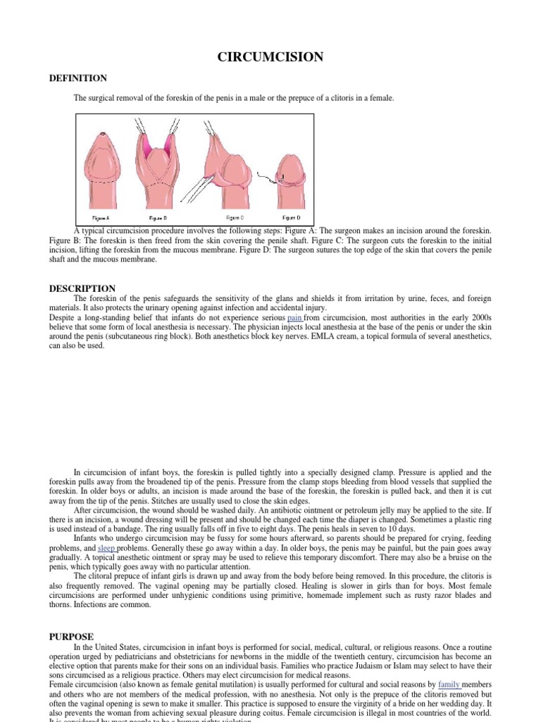Circumcision | PDF | Circumcision | Sexual Anatomy