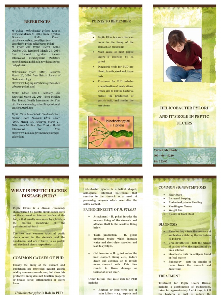 Brochure 2 | PDF | Peptic Ulcer | Stomach