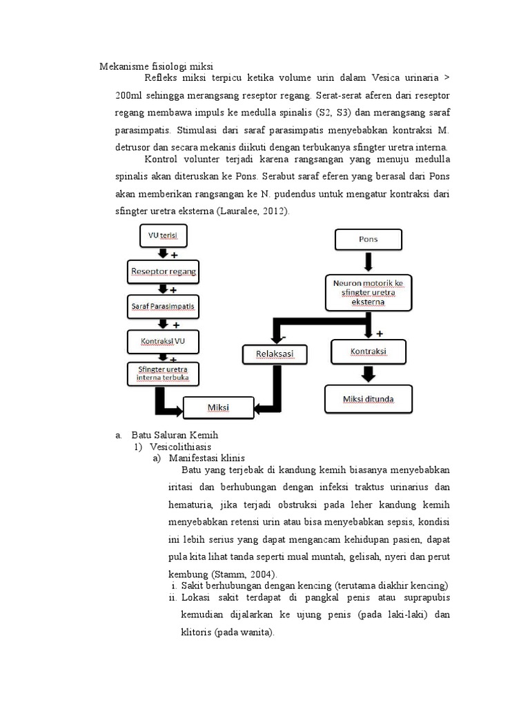Mekanisme Fisiologi Miksi dan Batu Saluran Kemih | PDF