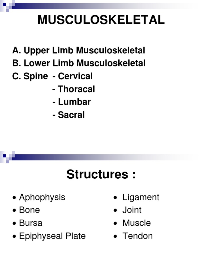 Musculoskeletal Rehabilitation Overview | PDF | Anatomical Terms Of ...