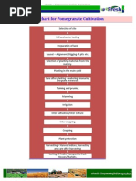 Mulder S Chart | PDF | Plant Nutrition | Nutrients