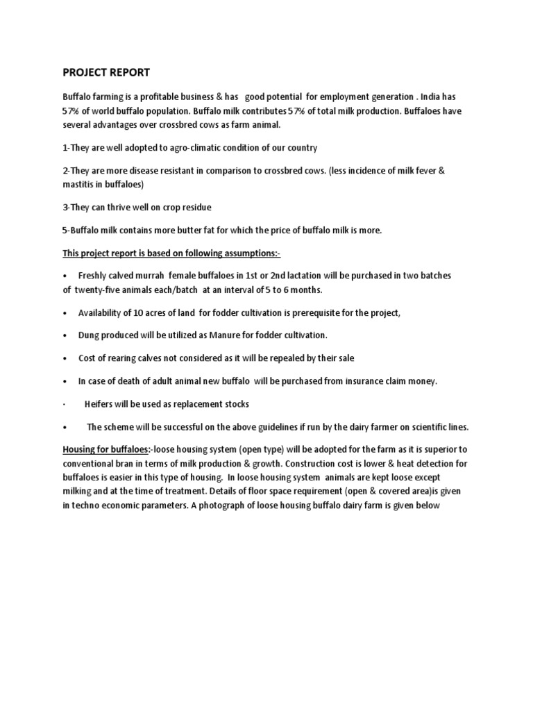 Project Report - Dairy Farming | PDF | Dairy Farming | Cattle