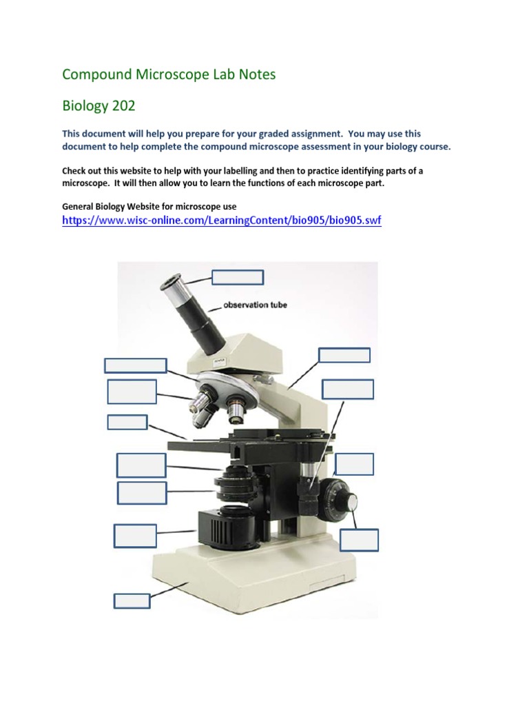 Compound Microscope Lab Notes Download Free Pdf Microscopy Atomic