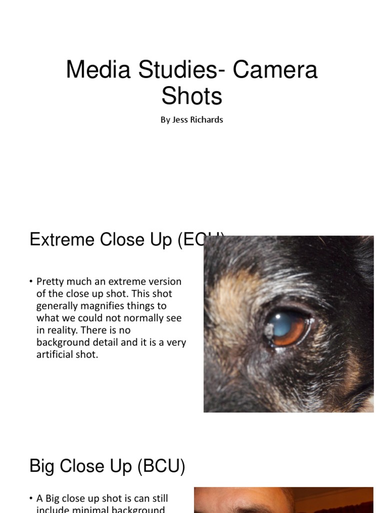 Types of Camera Shots in Media | PDF