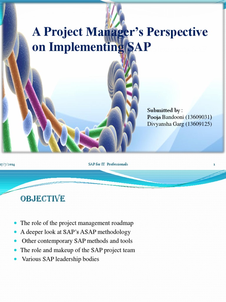 A Project Manager's Perspective On Implementing SAP | PDF | Sap Se ...
