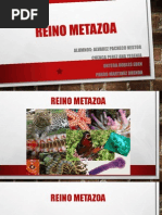 Ondícula de Ricker | PDF | Tecnología