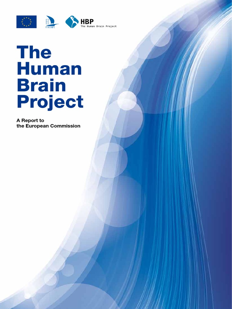 The Human Brain Report | PDF | Brain | Neuroscience