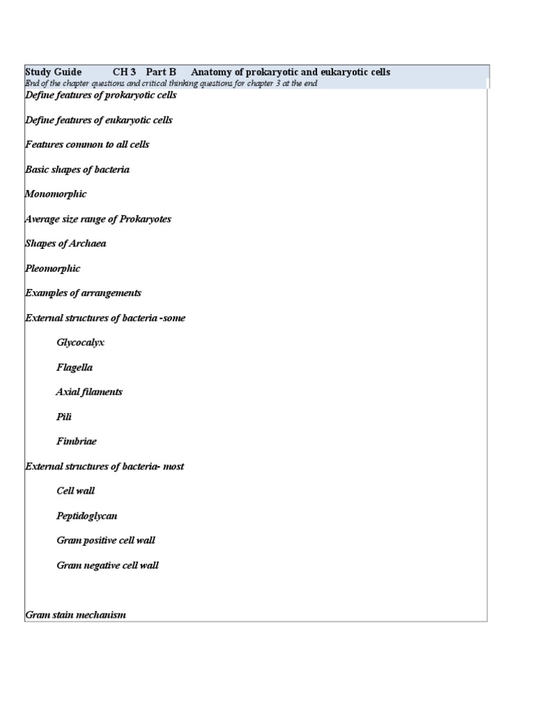 Study Guide CH 3 Part B Anatomy of Prokaryotic and Eukaryotic Cells ...