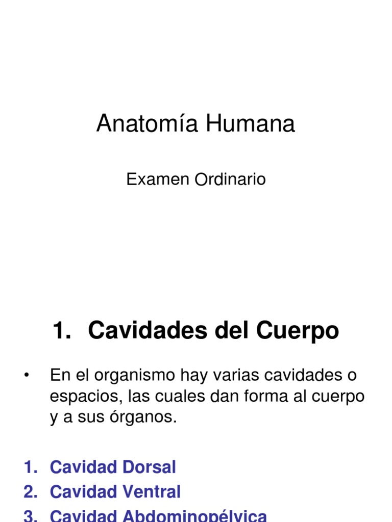 Anatomia Humana Examen Ordinario | PDF