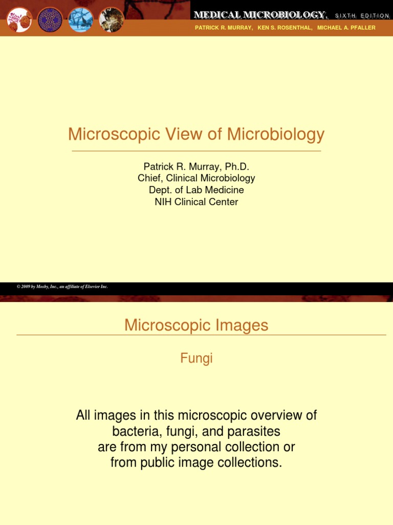 Murray MicroImages Fungi | PDF | Staining | Mold