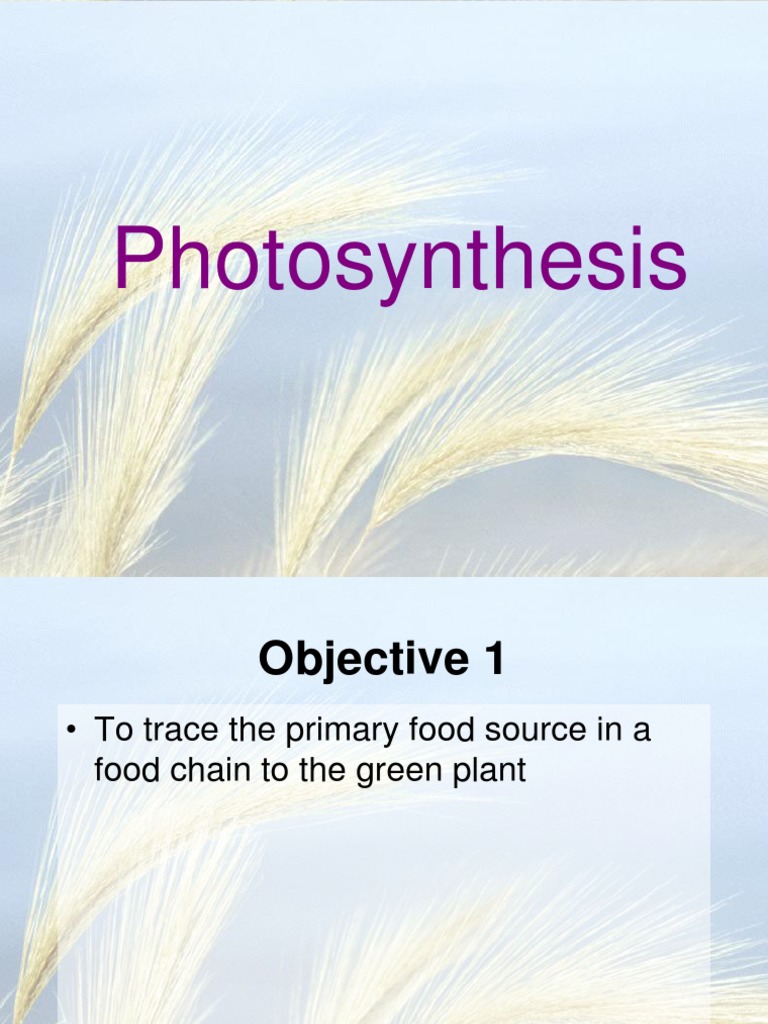 Photosynthesis | PDF | Photosynthesis | Plants