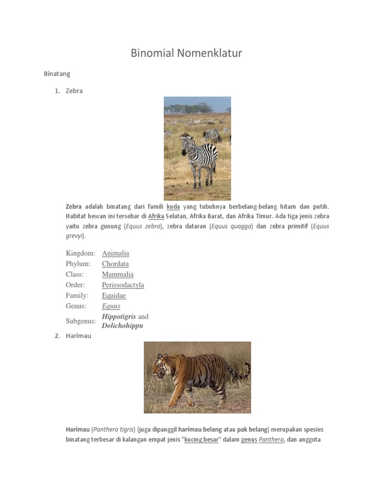 Binomial Nomenklatur | PDF