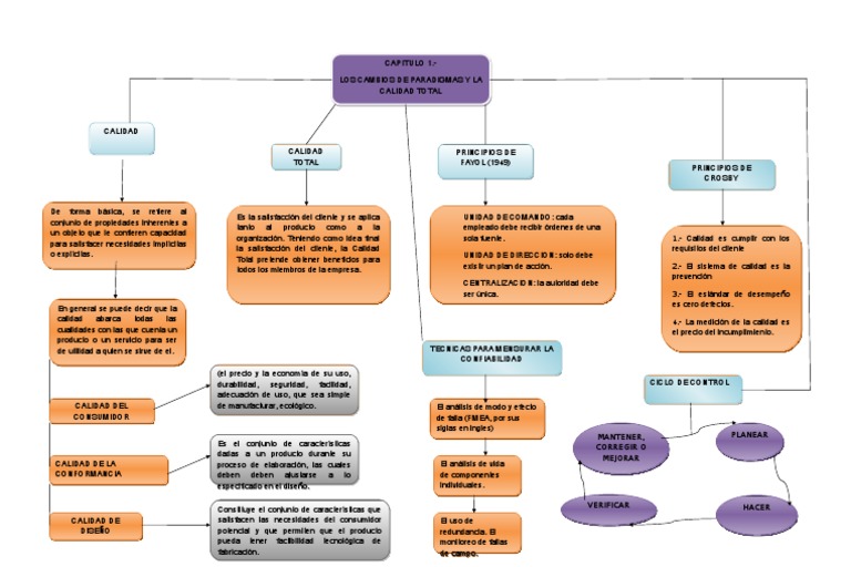 Mapa Conceptual - Capitulo 1 | PDF