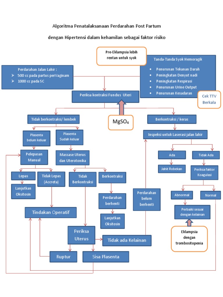 Algoritma Penatalaksanaan Perdarahan Post Partum Dan HT | PDF