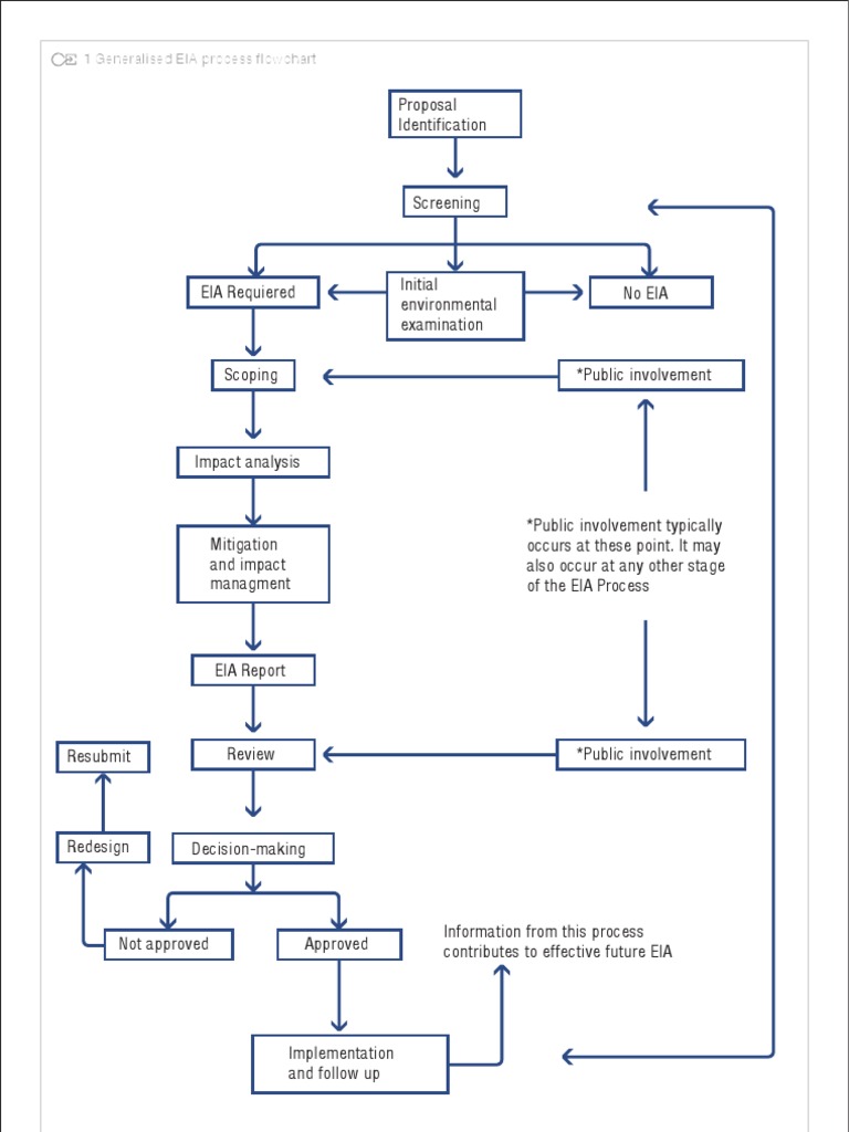 1 Generalised EIA Process Flowchart