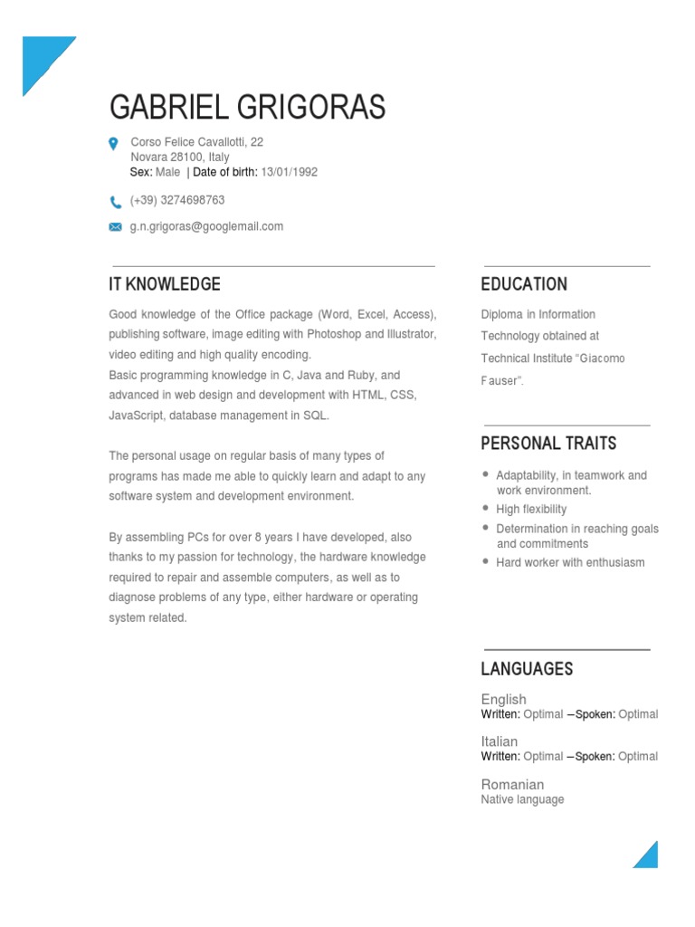 (CV) GabrielGrigoras English | PDF | Foreign Language Studies | Computers