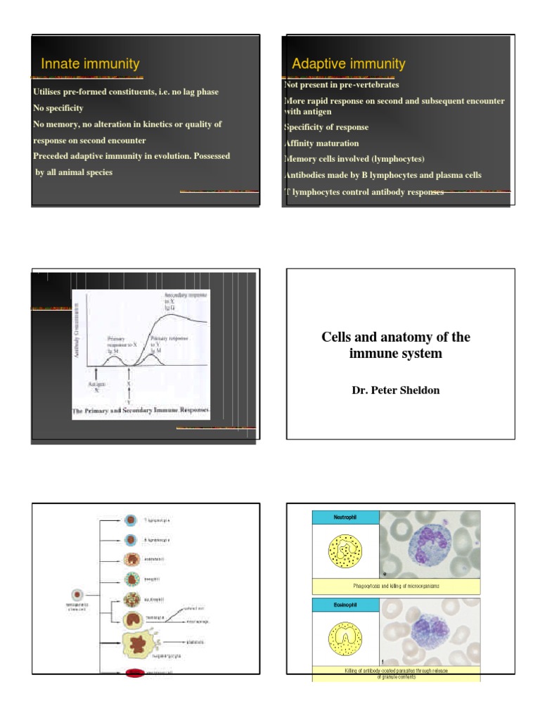 Biology - Cells and Anatomy of The Immune System | PDF | Lymphatic ...