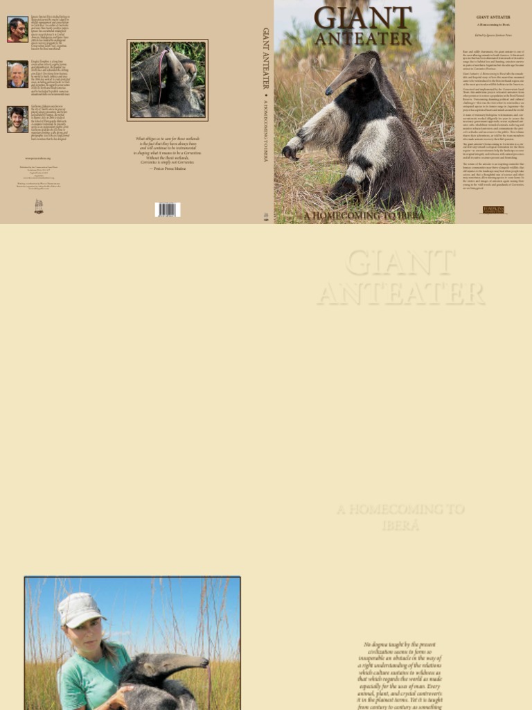 Book Giant Anteater | PDF | Restoration Ecology | Predation