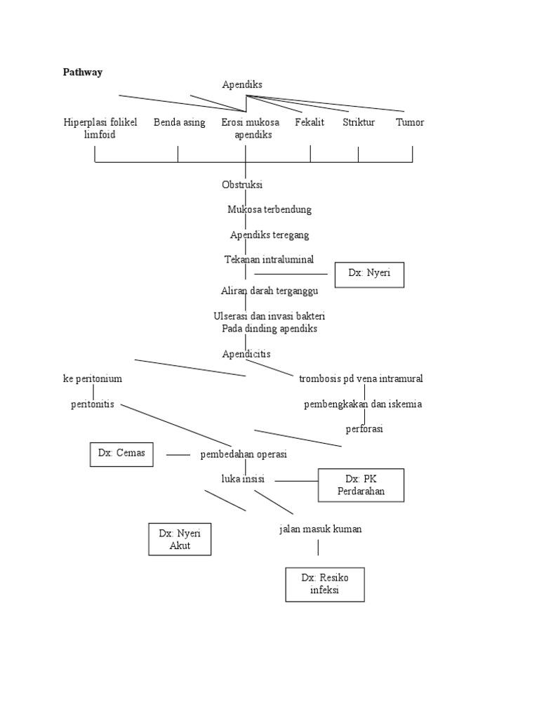 Pathway Appendiksitis | PDF