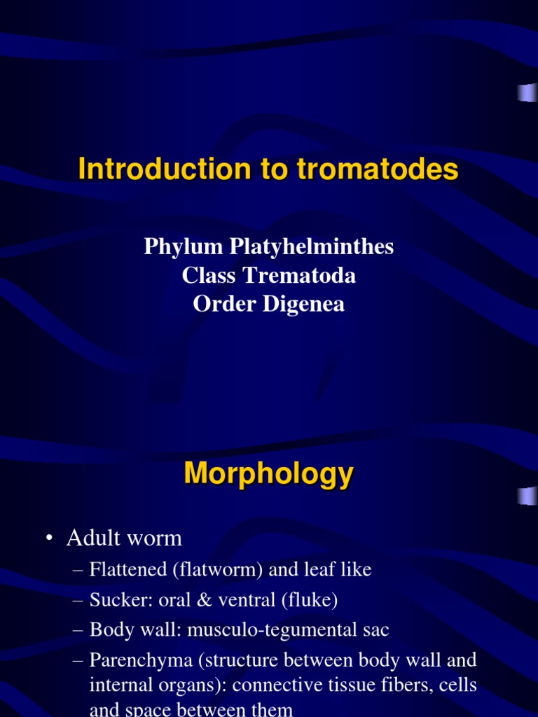 Introduction To Tromatodes: Phylum Platyhelminthes Class Trematoda ...