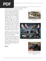 BILLY Footwear Complete Sizing Chart V11 | PDF