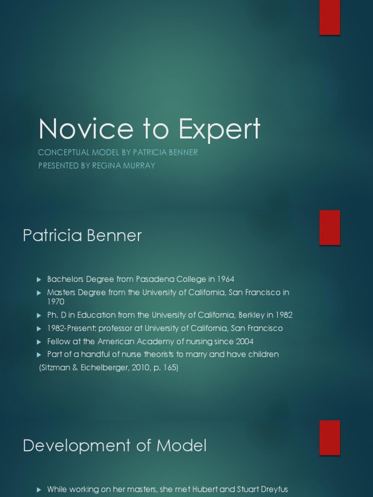 Novice to Expert | Mentorship | Expert