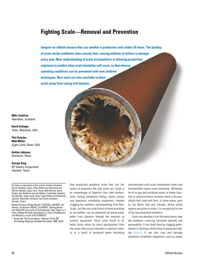 Scale Formation PDF | PDF | Solubility | Carbon Dioxide