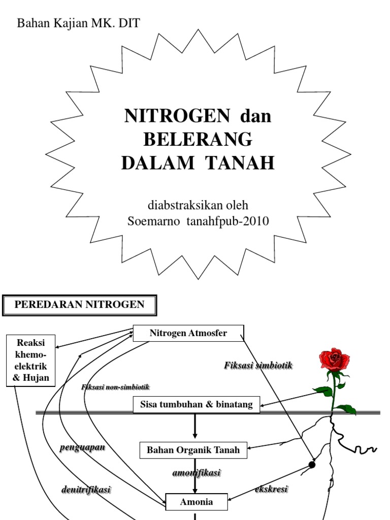 NITROGEN Dan Belerang Dalam Tanah | PDF