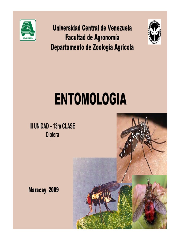 Entomologia 2009 - III Unidad - 13ra Clase Diptera | PDF | Mosca | Hexapoda