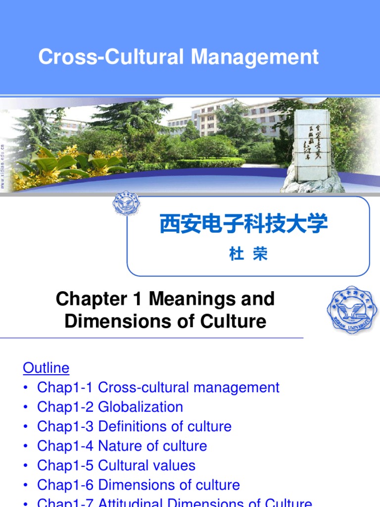 Cross-Cultural Management Insights | PDF