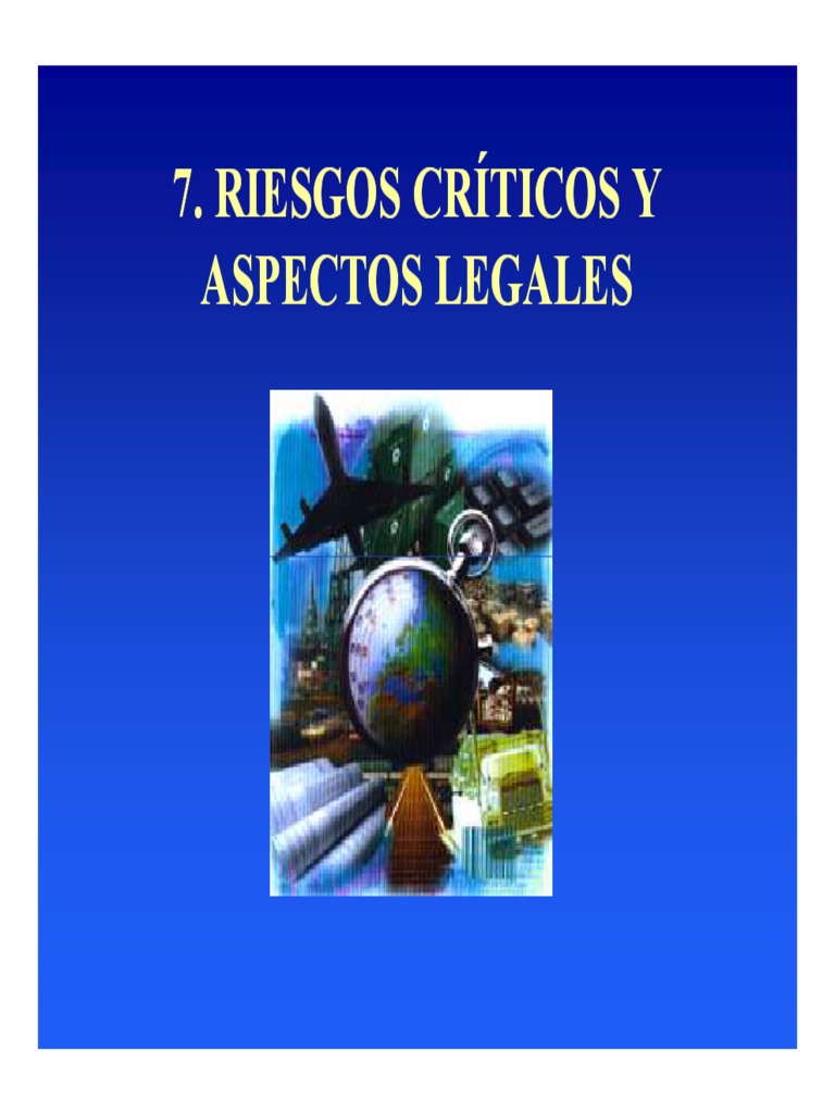 7 Riesgos Críticos | PDF | Riesgo | Probabilidad