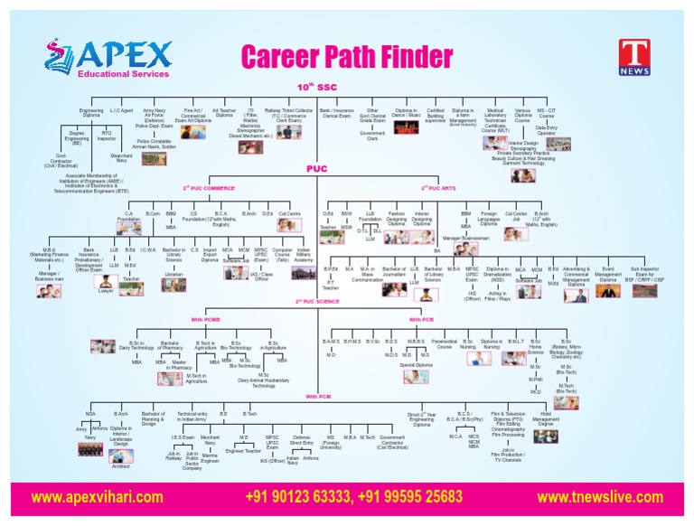 Career Chart | PDF | Diploma | Master Of Science