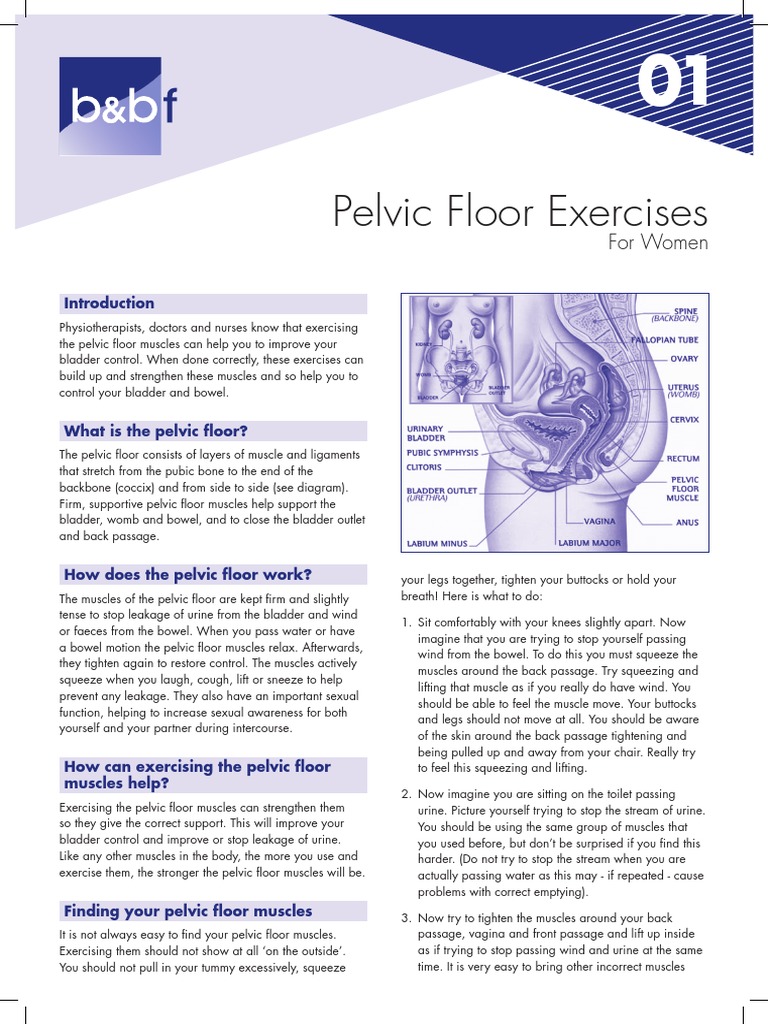 Pelvic Floor Exercises Pdf Urinary Incontinence Pelvis